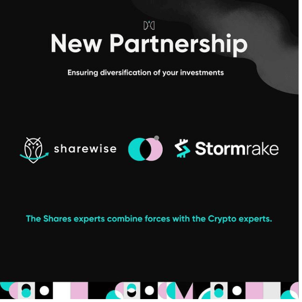 The Rake Review: August 2024 | Stormrake